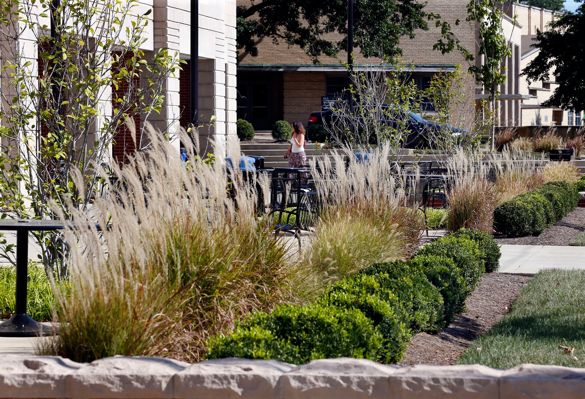 Minimum Requirements And Scope Of Work To Include In A Landscape ...