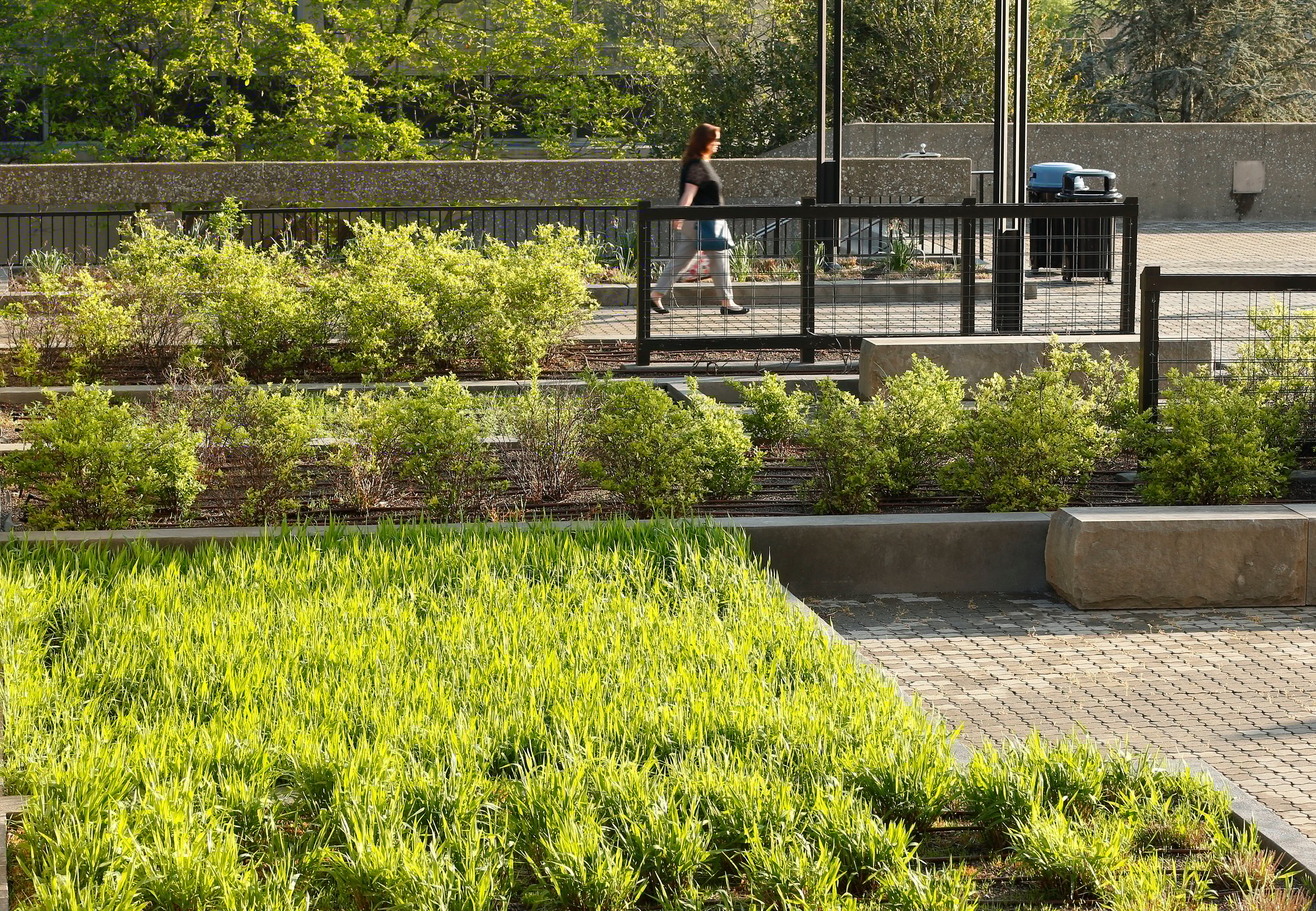 What is Smart Landscaping?