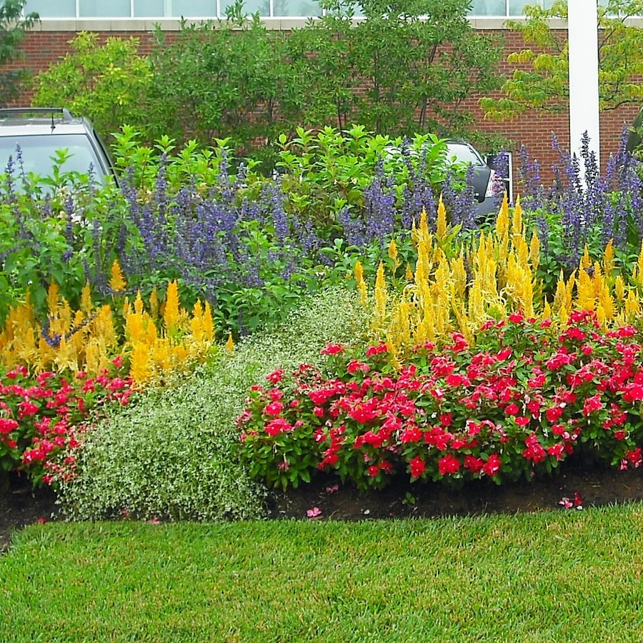 Bed Edging Techniques to Protect and Enhance the Trees on Your Property