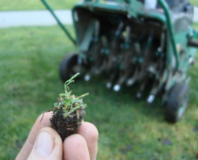 Power-Seeding Vs. Aeration & Overseeding: Which Is Best For Kentucky Lawns?