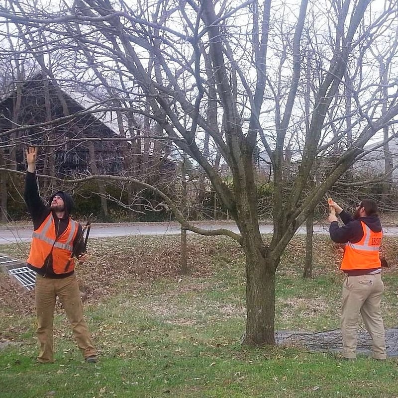 Your Essential Fall Landscaping Checklist: 6 Must-Do Tasks Before Winter