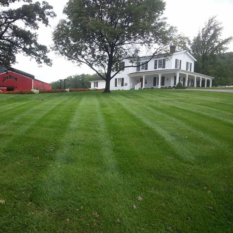 Naturally Better Lawn Care For A Healthy Green